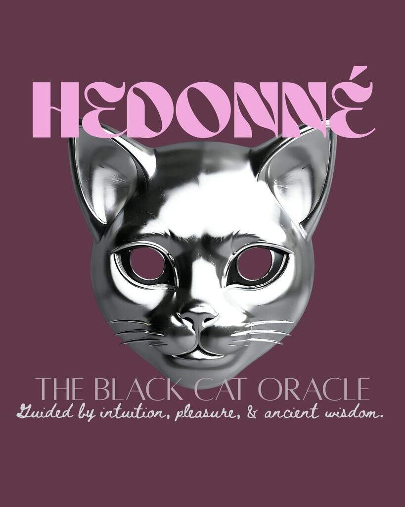 Get Ready for The Black Cat Oracle: A Spiritual Sanctuary for the Sensitiv