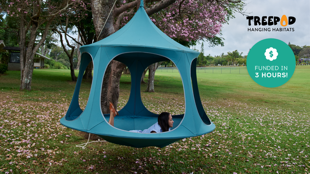 Project Updates for TreePod Canopy: A Spacious Cabana & Hammock Hybrid ...