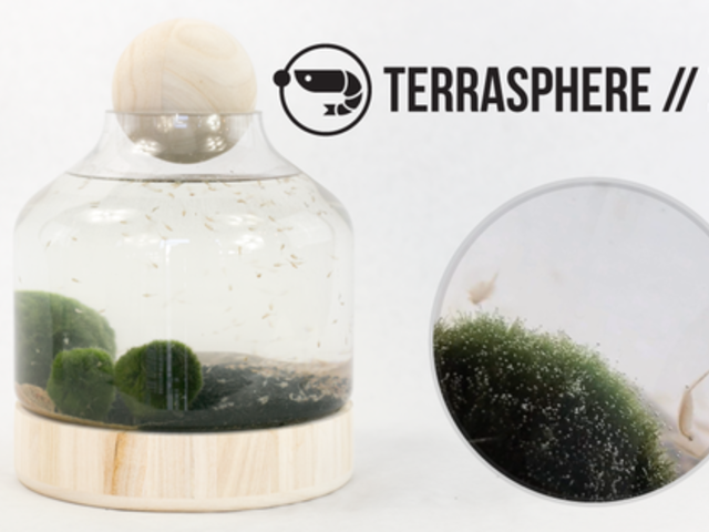 Preorder TerraSphere Zero: Self-Sustaining Terrariums on BackerKit